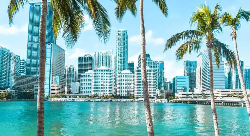 Sightseeing Boat Tours & Water Activities | Miami On The Water®
